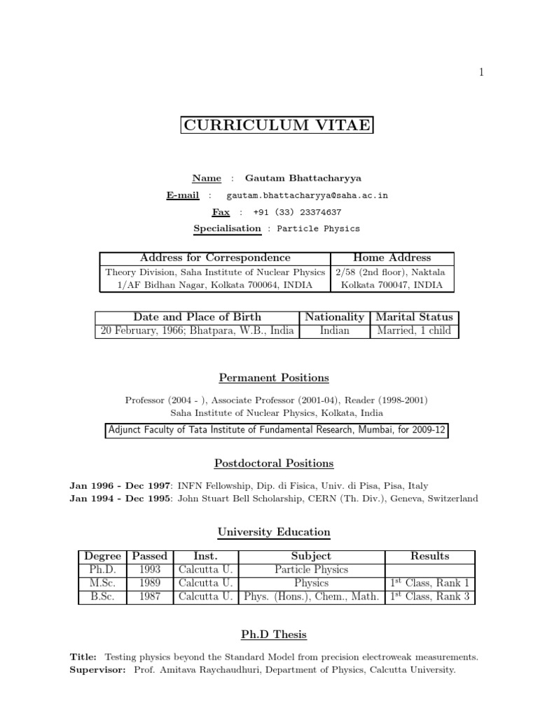 CV | PDF | Particle Physics | Standard Model