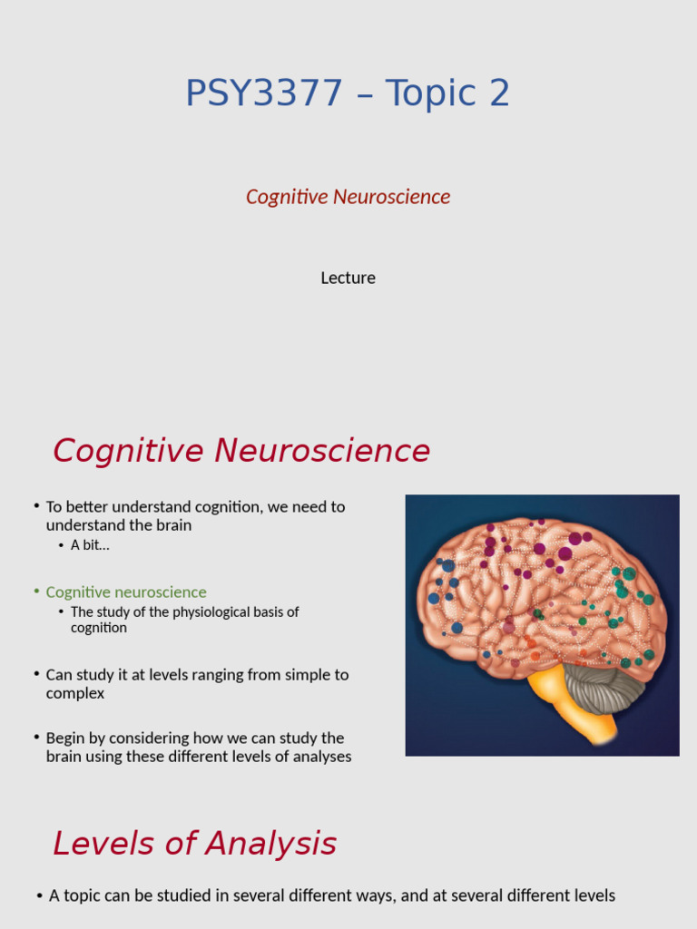 Topic 2 - Cognitive Neuroscience | PDF