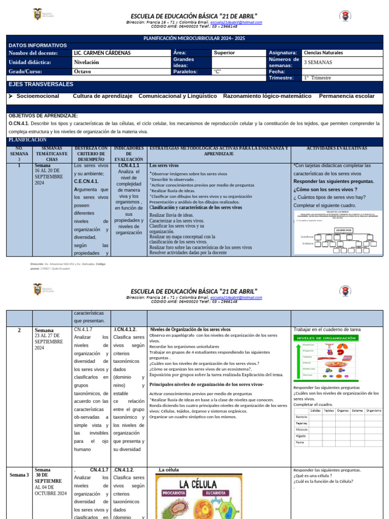 Planificacion Nivelación Pedagógica Octavo Ciencias Naturales - 3-Semanas 2024-2025 | PDF ...