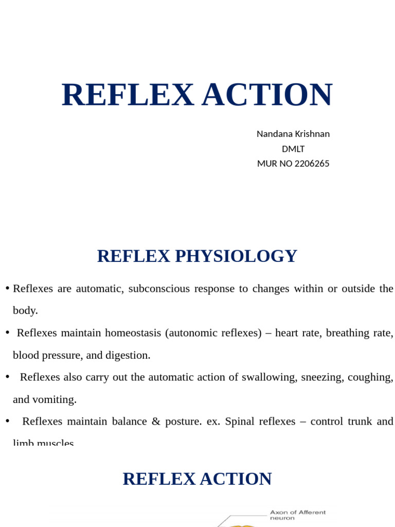 REFLEX ACTIONS, Human Physiology | PDF