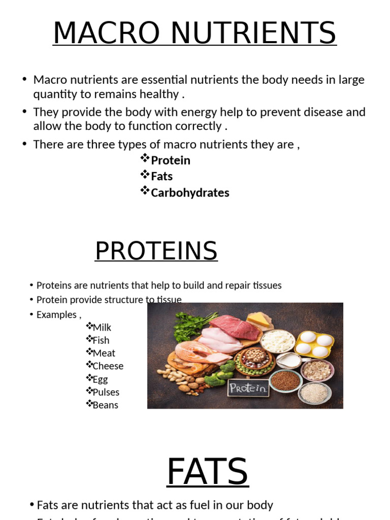 Macro Nutrients | PDF