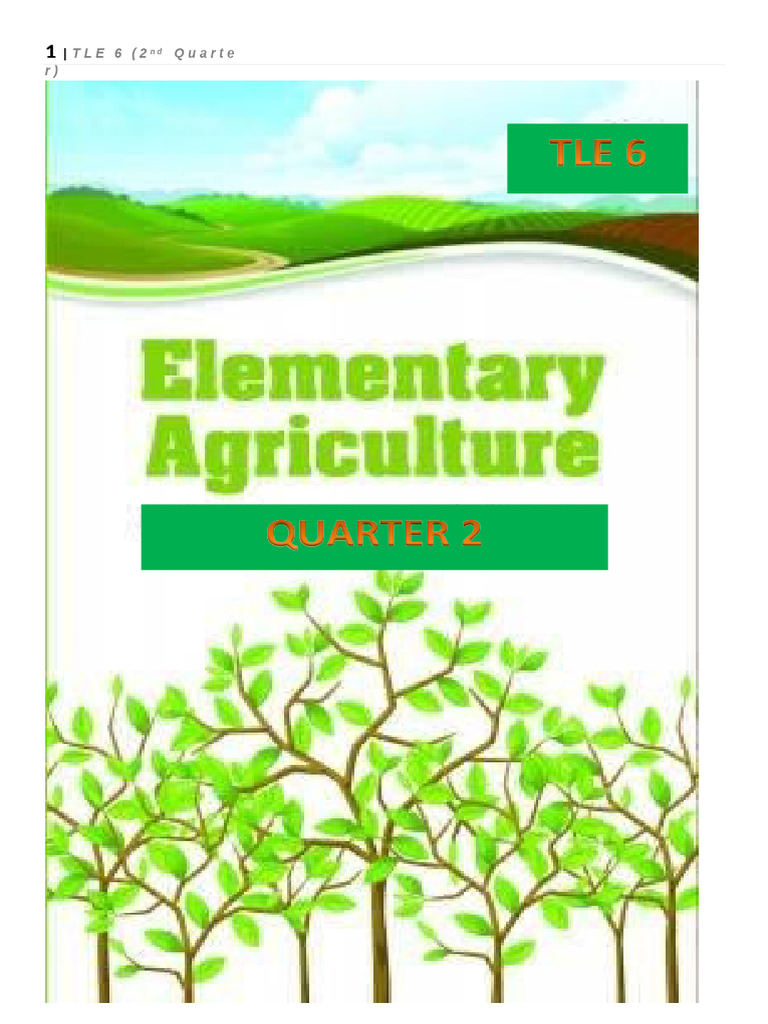 Tle 6 Quarter 2 | PDF