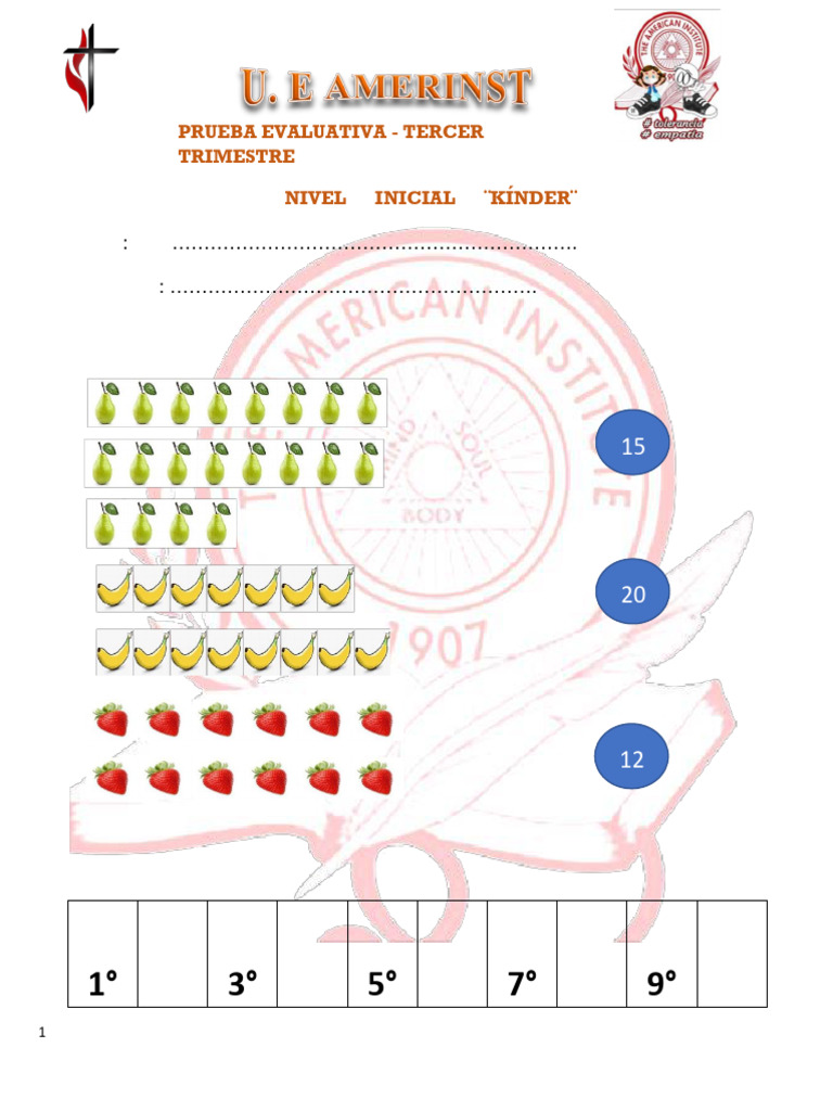 Prueba Evaluativa, Amerinst | PDF