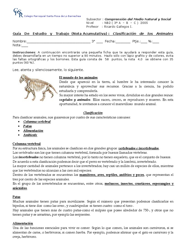 Guía Animales | PDF | Mamíferos | Vertebrados