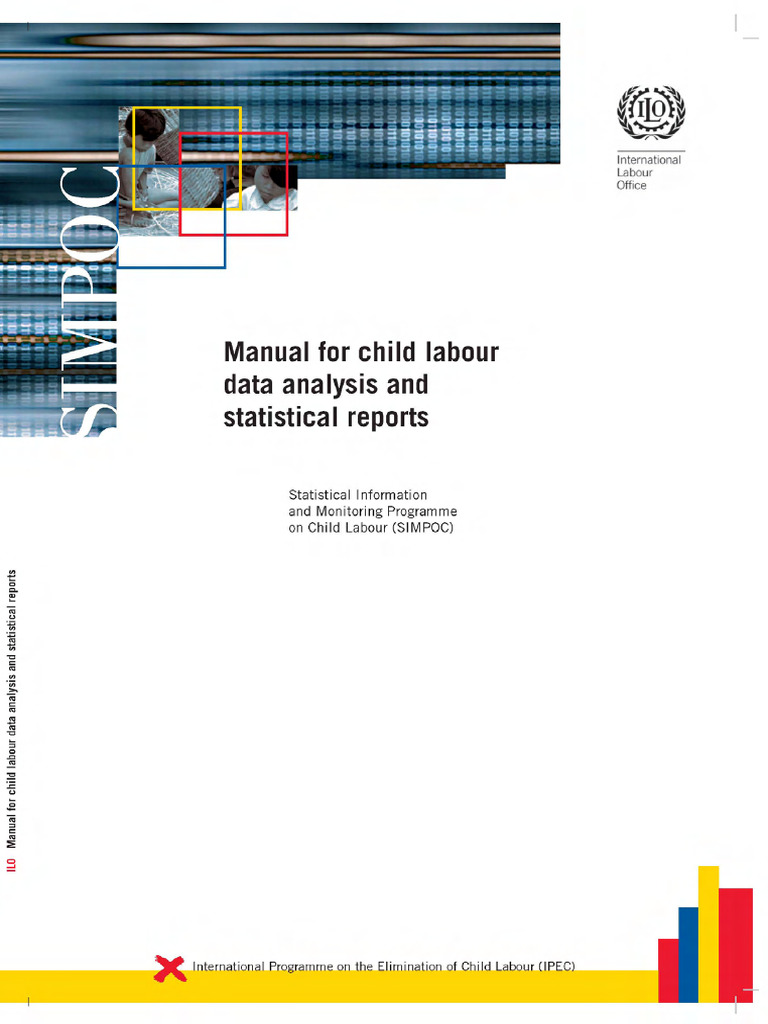 Manual For Child Labour Data Analysis and Statistical Reports en | PDF