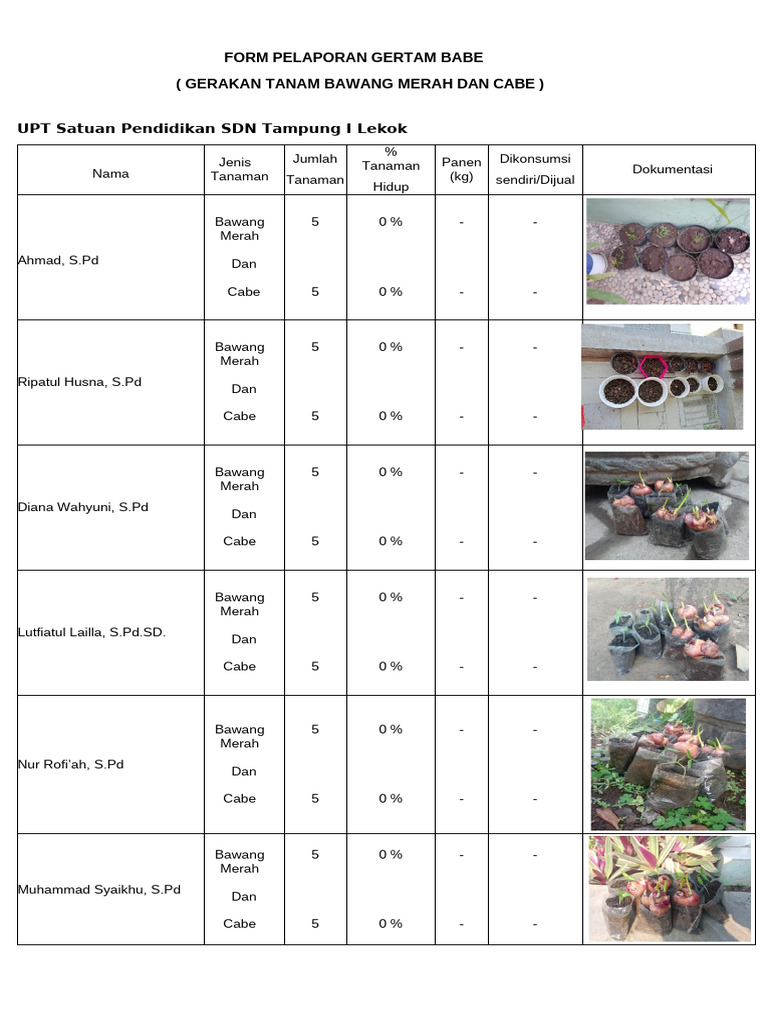 Laporan Gertam SDN Tampung I Lekok | PDF