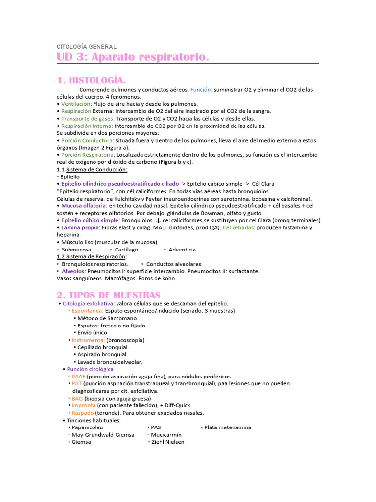 Citología General UD 3 | PDF | Sistema respiratorio | Pulmón