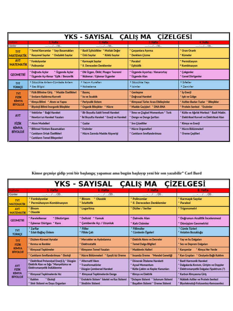 Yks-Sayisal-2 Aylik Konu Bazli Çalişma Programi | PDF