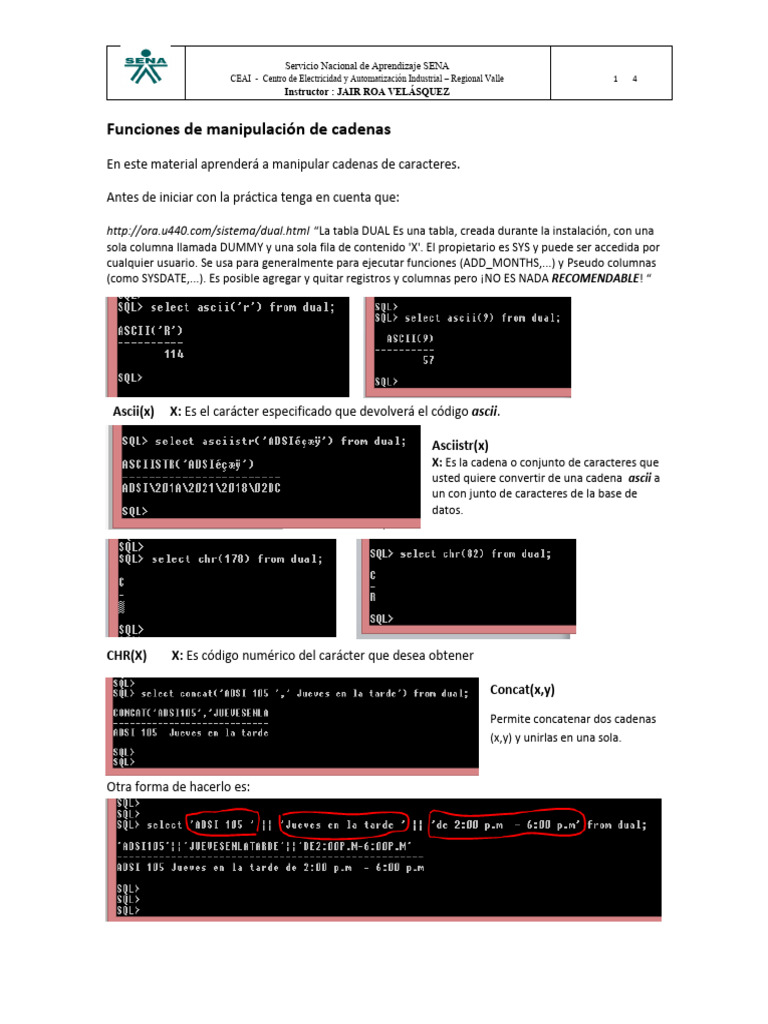 Actividad - 06 - Funciones de Manipulación de Cadenas | PDF