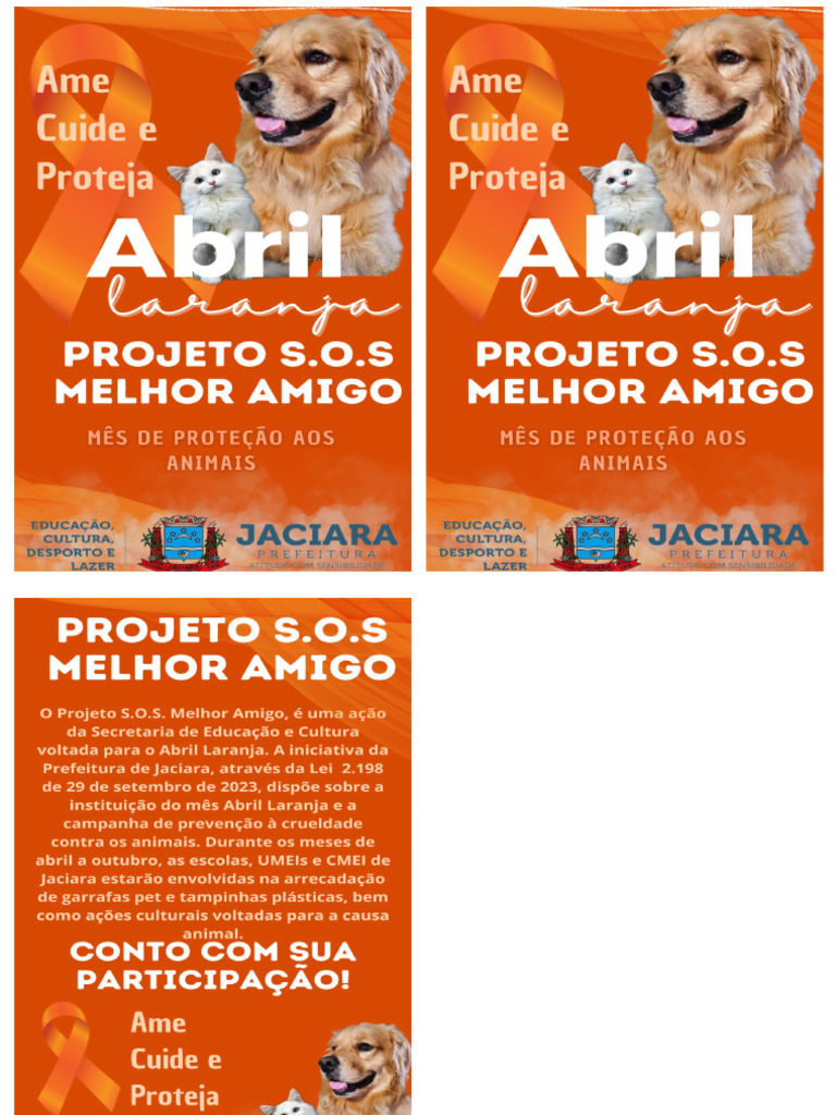 Folder Sos Amigo | PDF