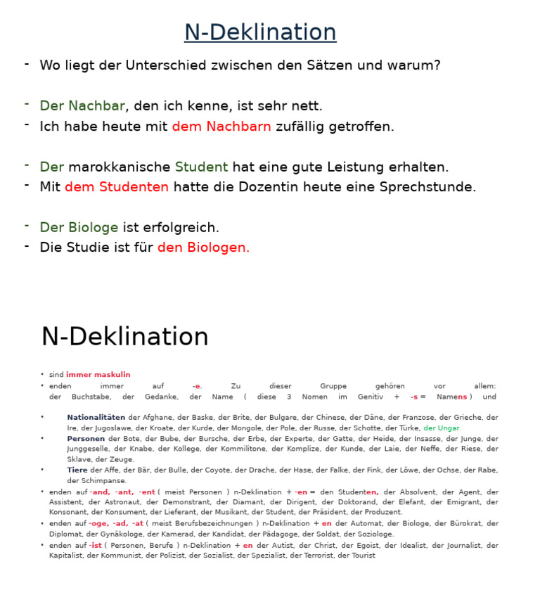 N Deklination | PDF