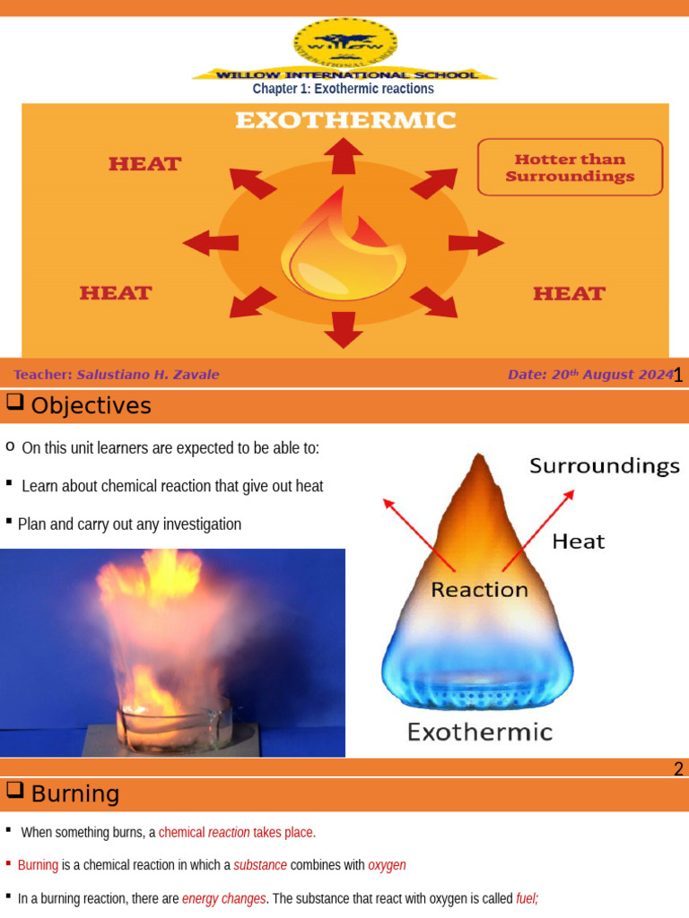 Exothermic Reactions | PDF