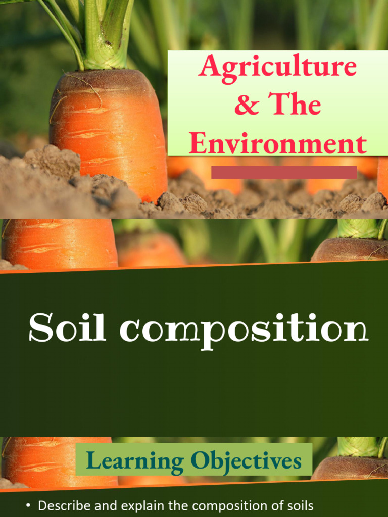 C3 - Agriculture & Environment | PDF