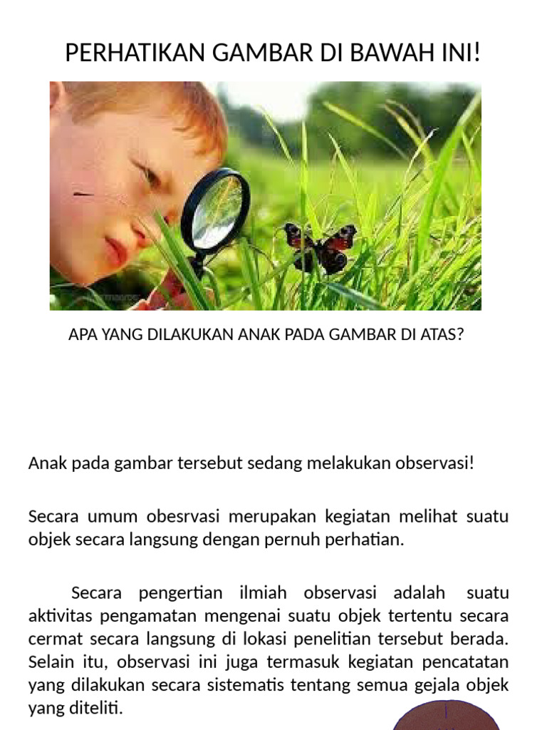 Teks LHO | PDF