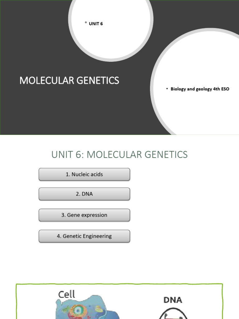 Unit 6. Molecular Genetic | PDF