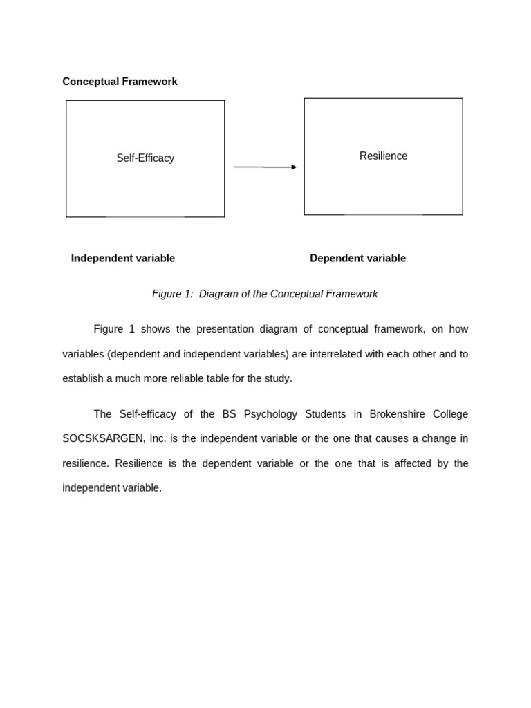 Conceptual Framework | PDF
