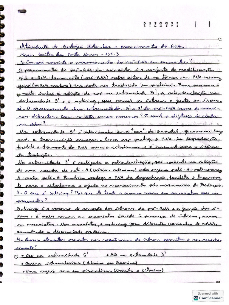 Processamento Do RNAm | PDF