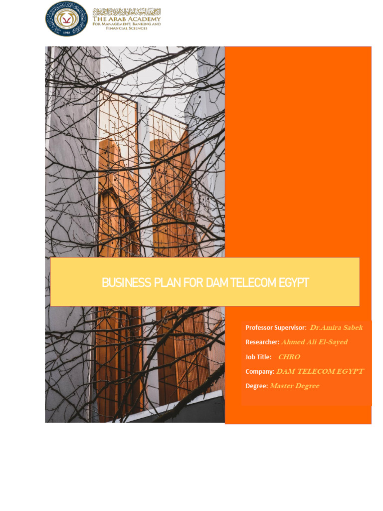 Business Plan Project Dam Telecom | PDF