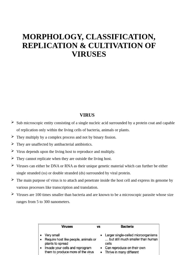 Virus Pharmaceutical Microbiology | PDF