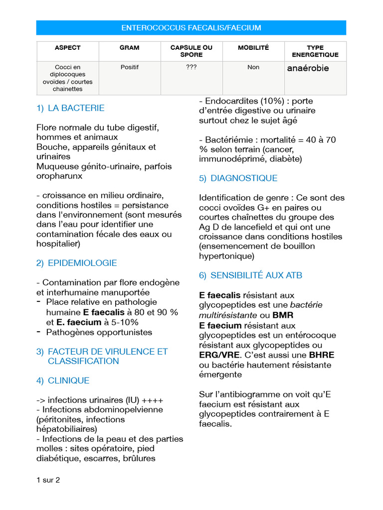 Bactério Enterococcus | PDF