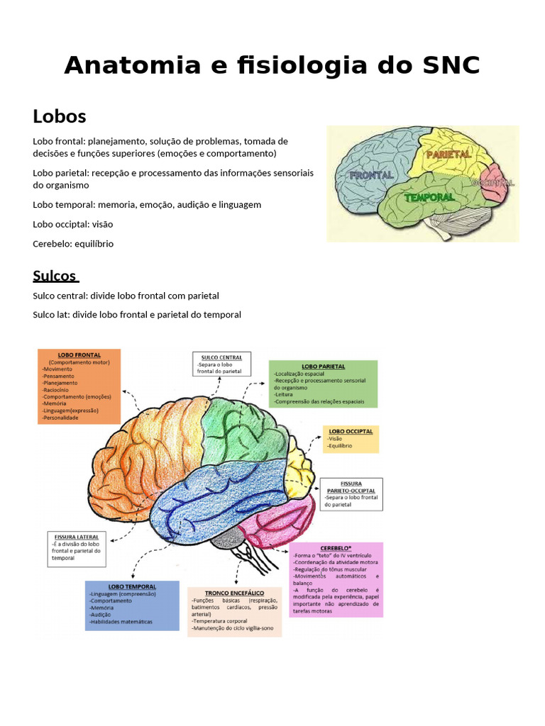 2 - Anatomia e Fisiologia Do SNC | PDF