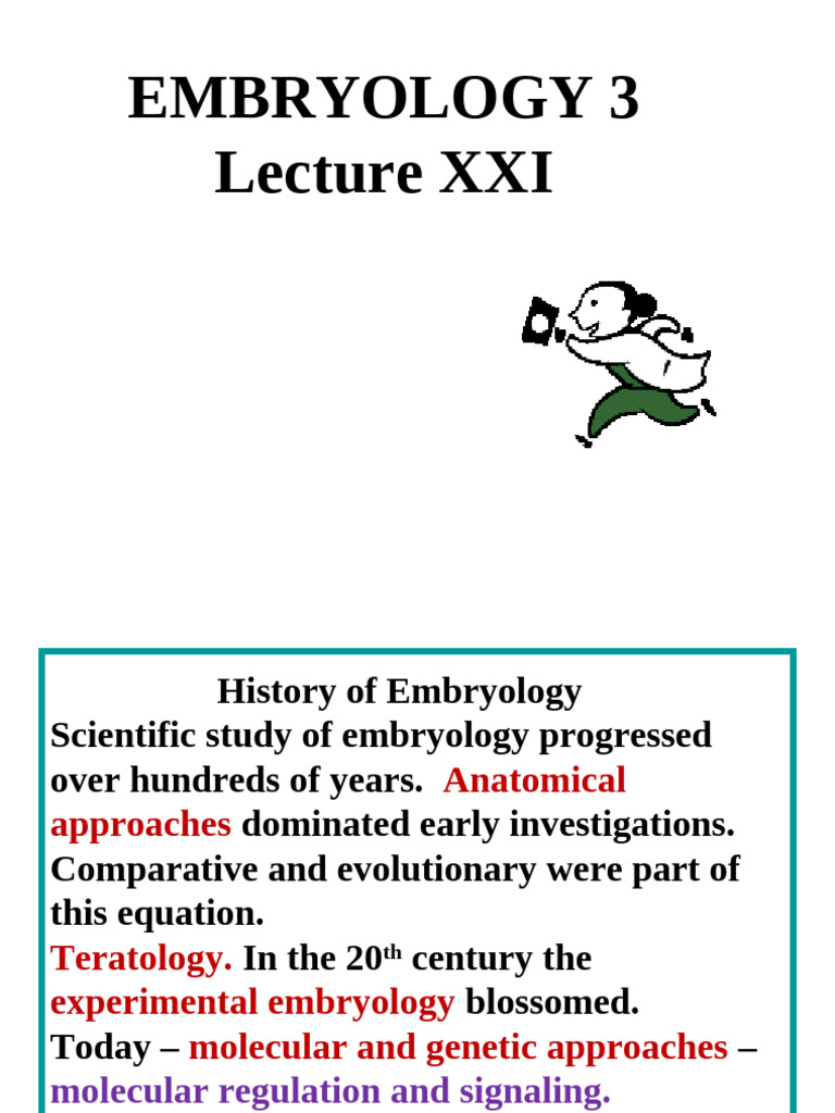 21 - Embryology - Embryol 3 | PDF