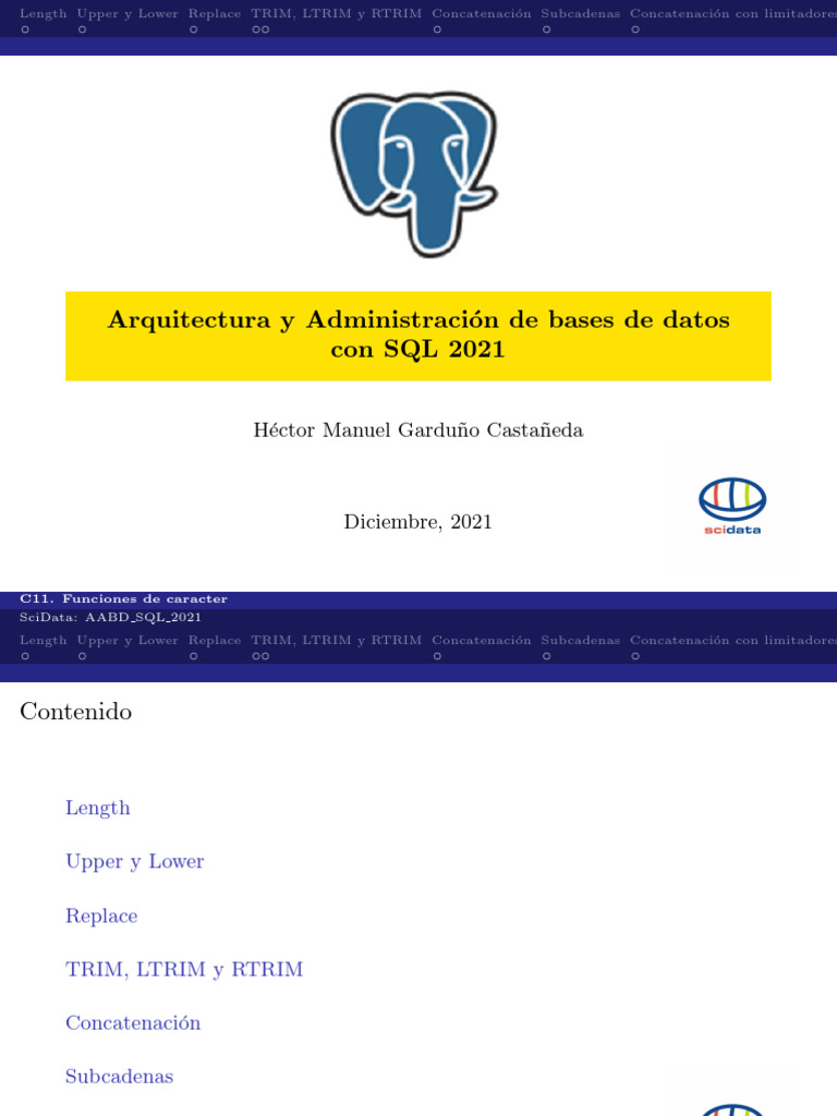 C11. Funciones de Caracter | PDF