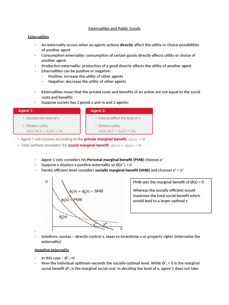1.10 Externalities and Public Goods | PDF