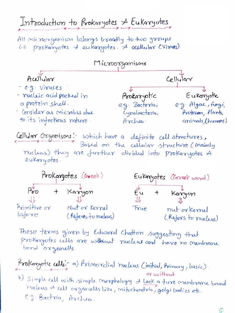 Introduction To Prokaryotes and Eukaryotes | PDF | Prokaryote | Organisms