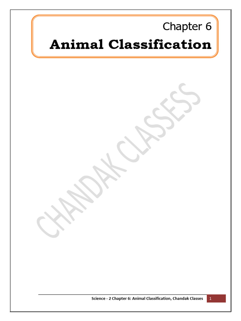 Animal Classification | PDF