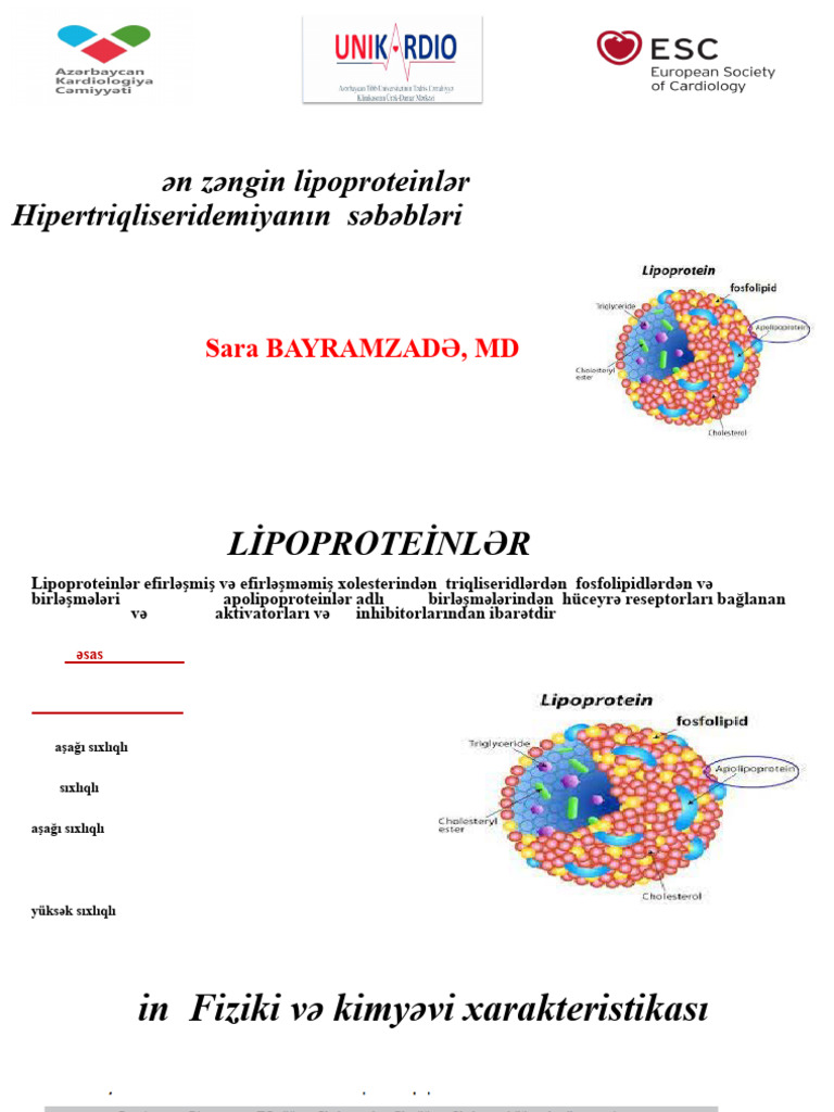 Sara BAyramzade | PDF | Nutrients | Science & Mathematics
