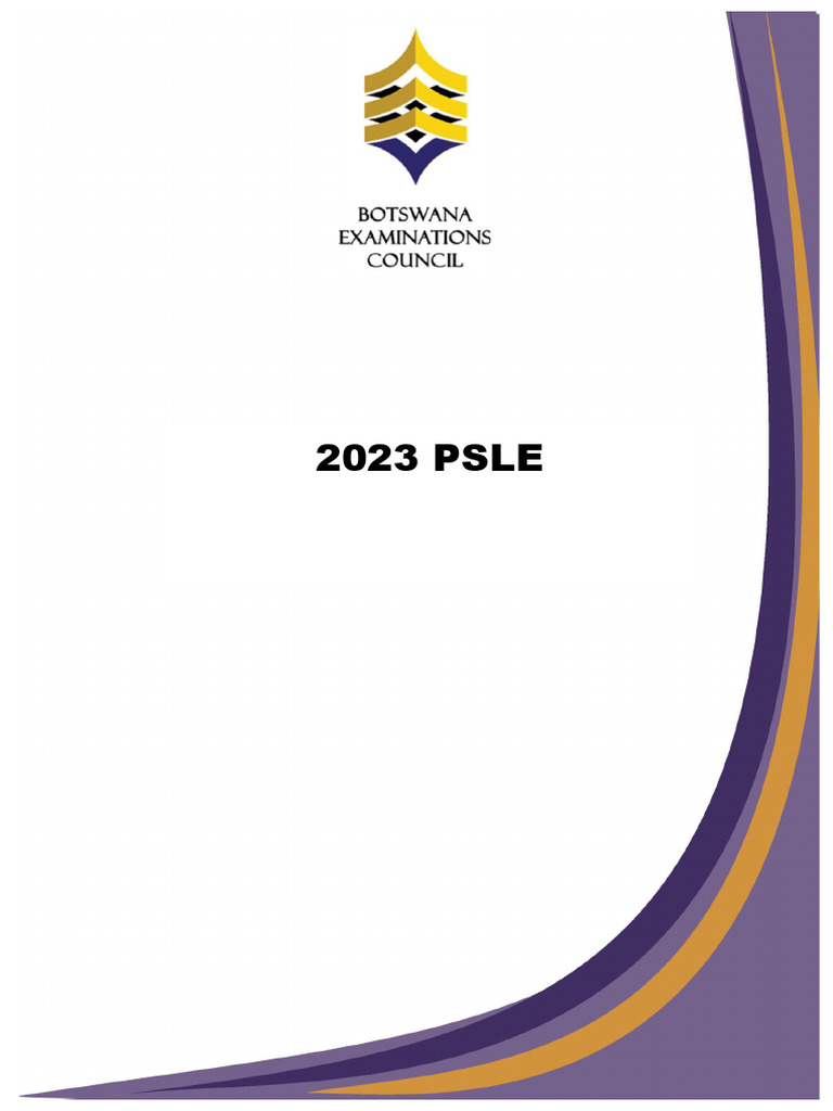 Psle Diagnostic Report Updated 2023 | PDF