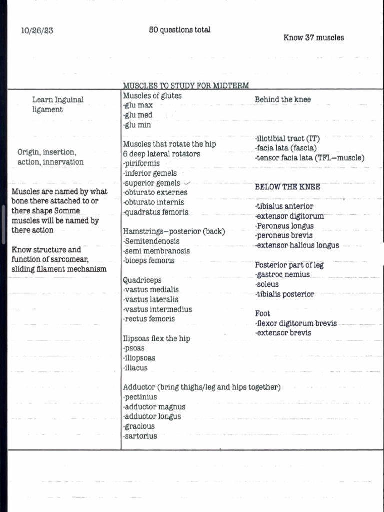 Anatomy 1 Midterm | PDF