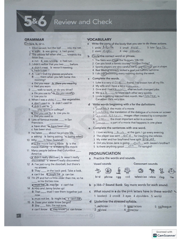 5&6 Review and Check | PDF