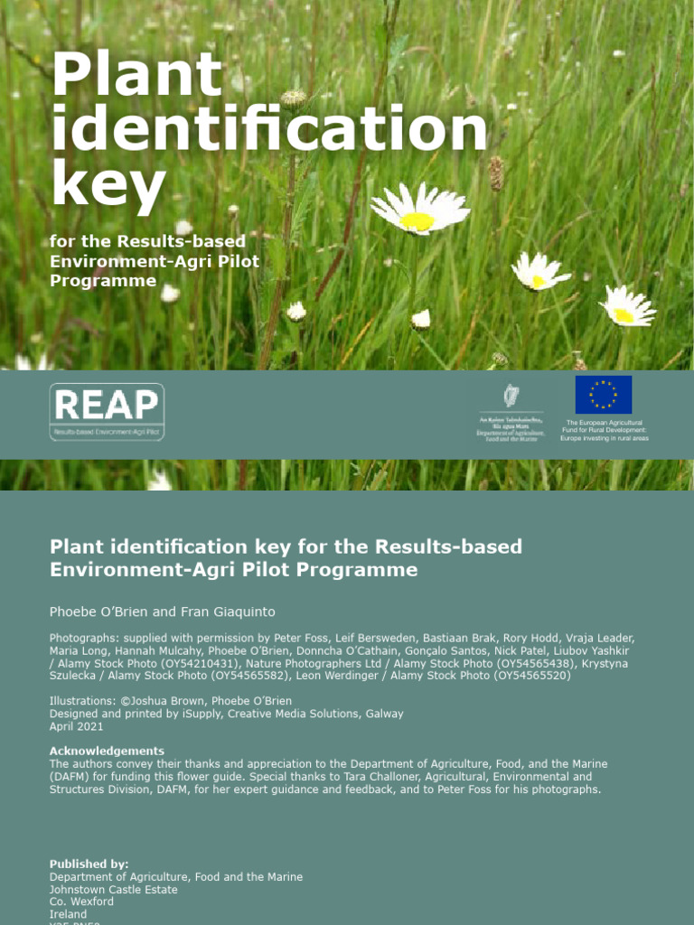 Plant Identification Key: For The Results-Based Environment-Agri Pilot ...