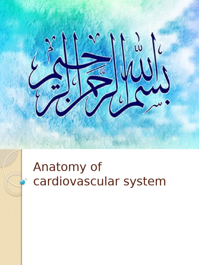 Anatomy of Cardiovascular System | PDF
