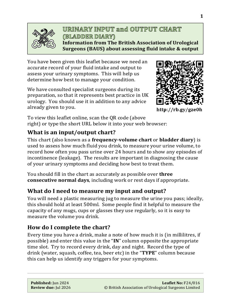 Input Output Chart | PDF