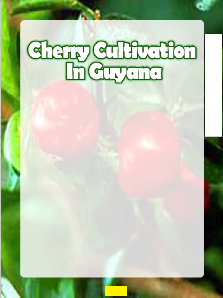 Cherry | PDF