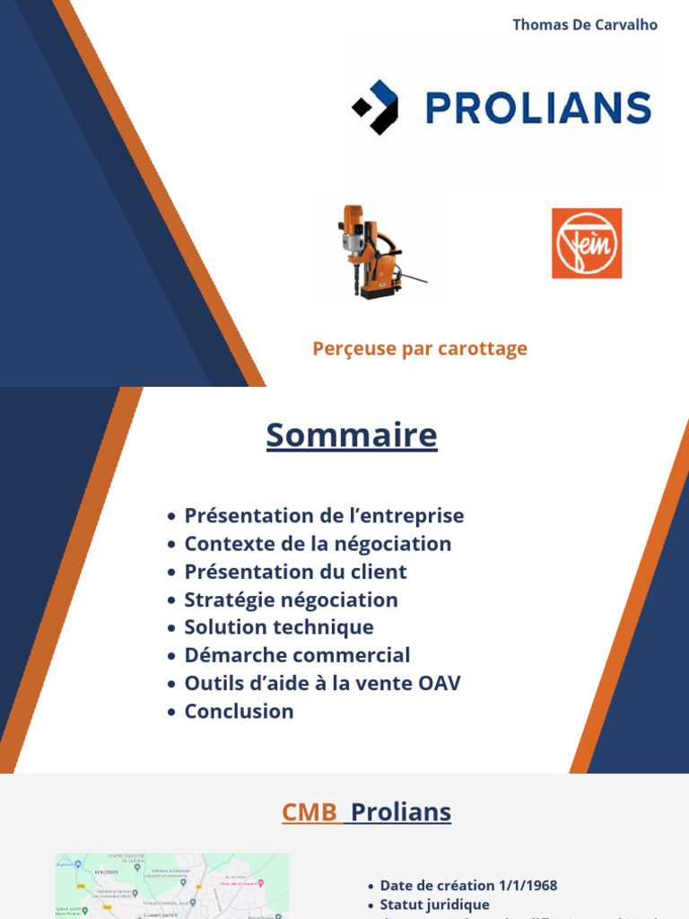 Fein Pro Lians | PDF