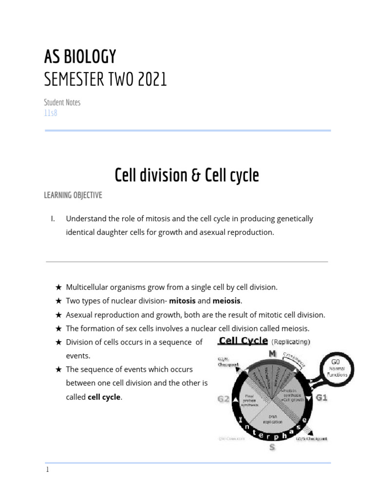 Cell Division & Cell Cycle | PDF
