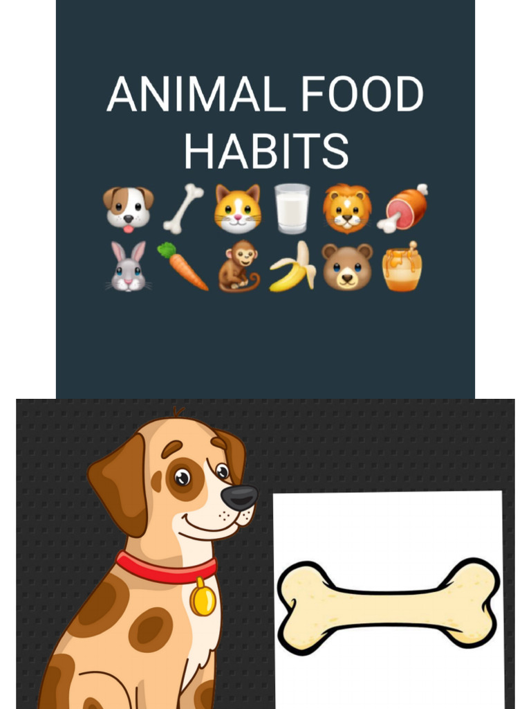 Animal Food Habits | PDF