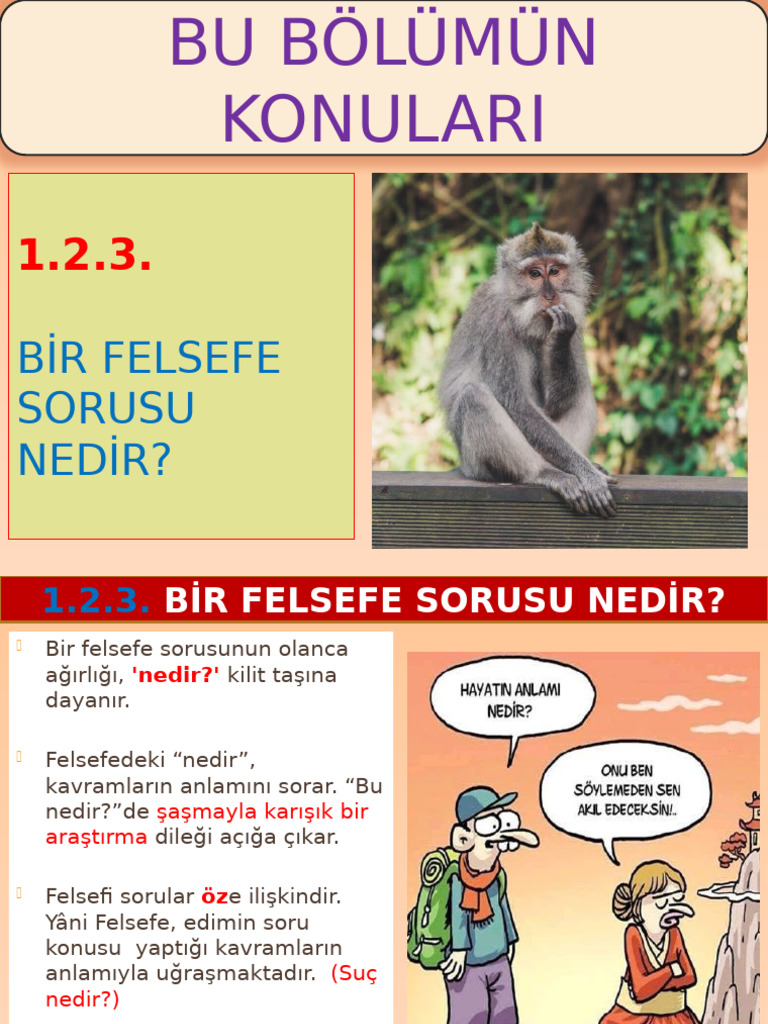 10 Fel. 1. Ünt 5. Bölüm, Bi̇r Felsefe Sorusu Nedi̇r | PDF