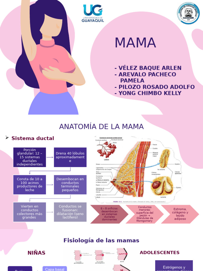 Cancer de Mama. Diapositivas... | PDF