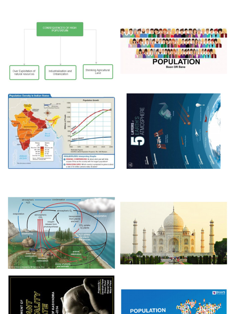 Environment Project | PDF