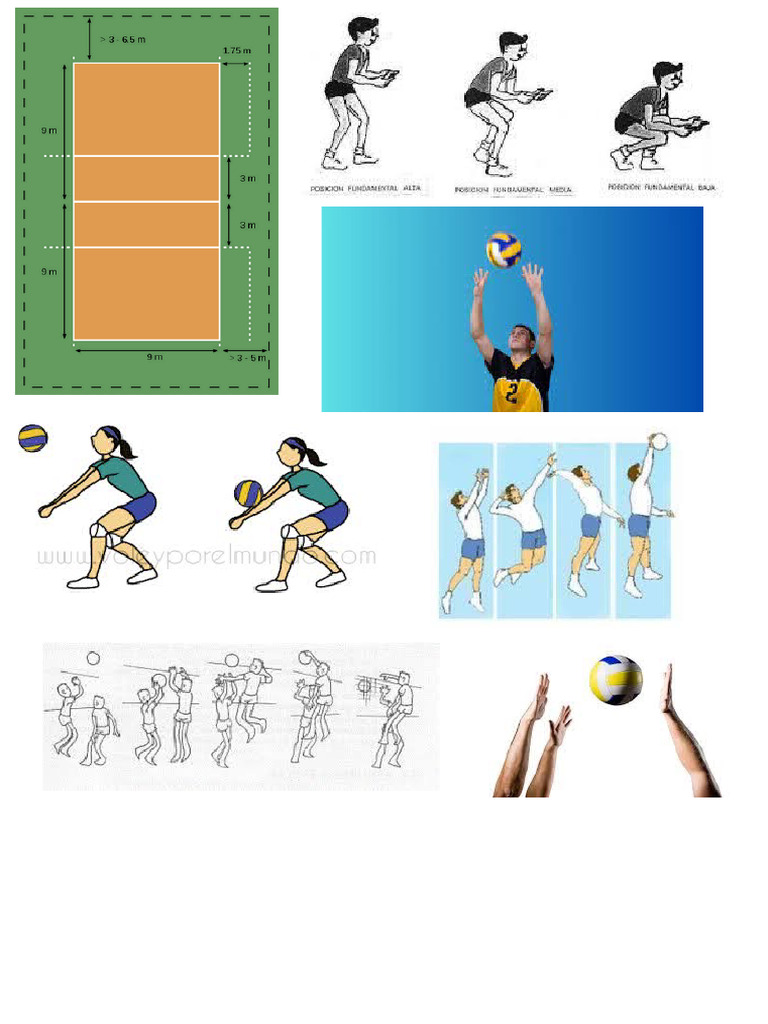 Volley | PDF