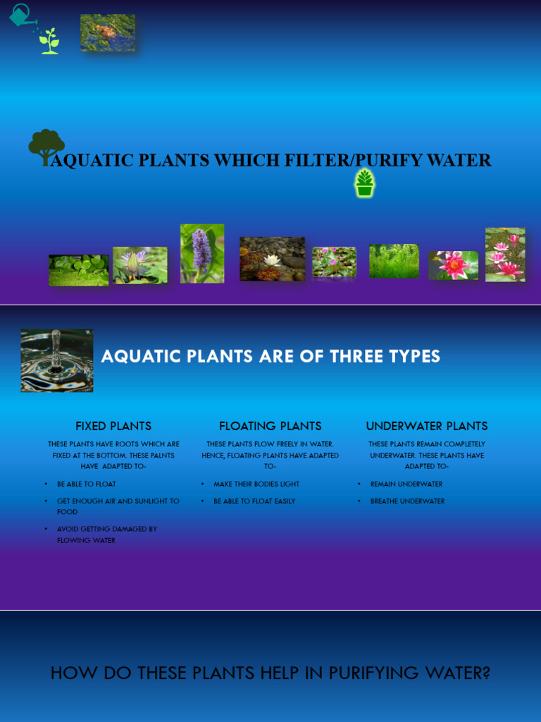 Plants That Filter Purify Water - Science | PDF