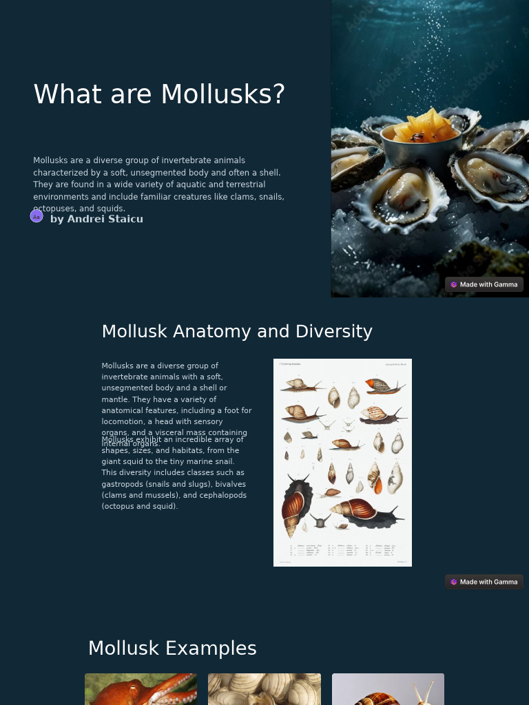 What Are Mollusks | PDF