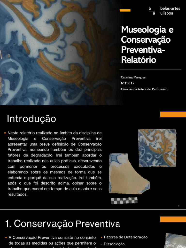 Catarina Marques Nº15617 | PDF