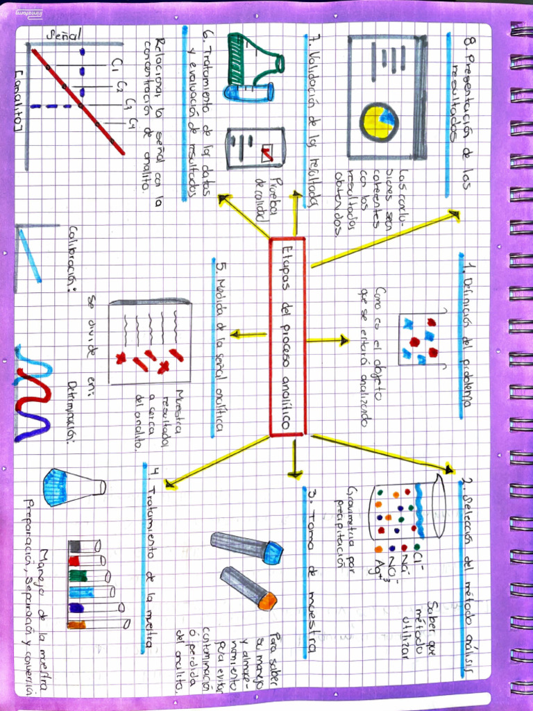 Etapas Del Proceso Analítico | PDF