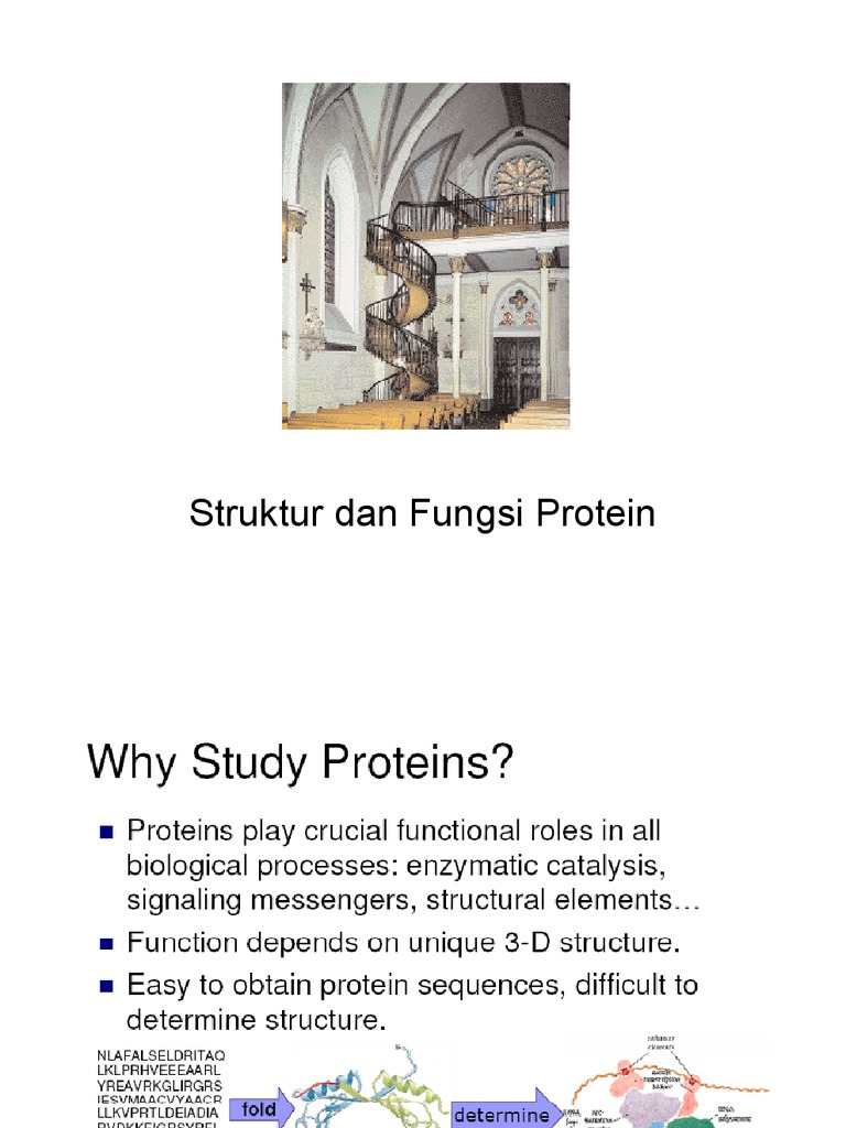 Struktur Dan Fungsi Protein | PDF | Alpha Helix | Protein Structure